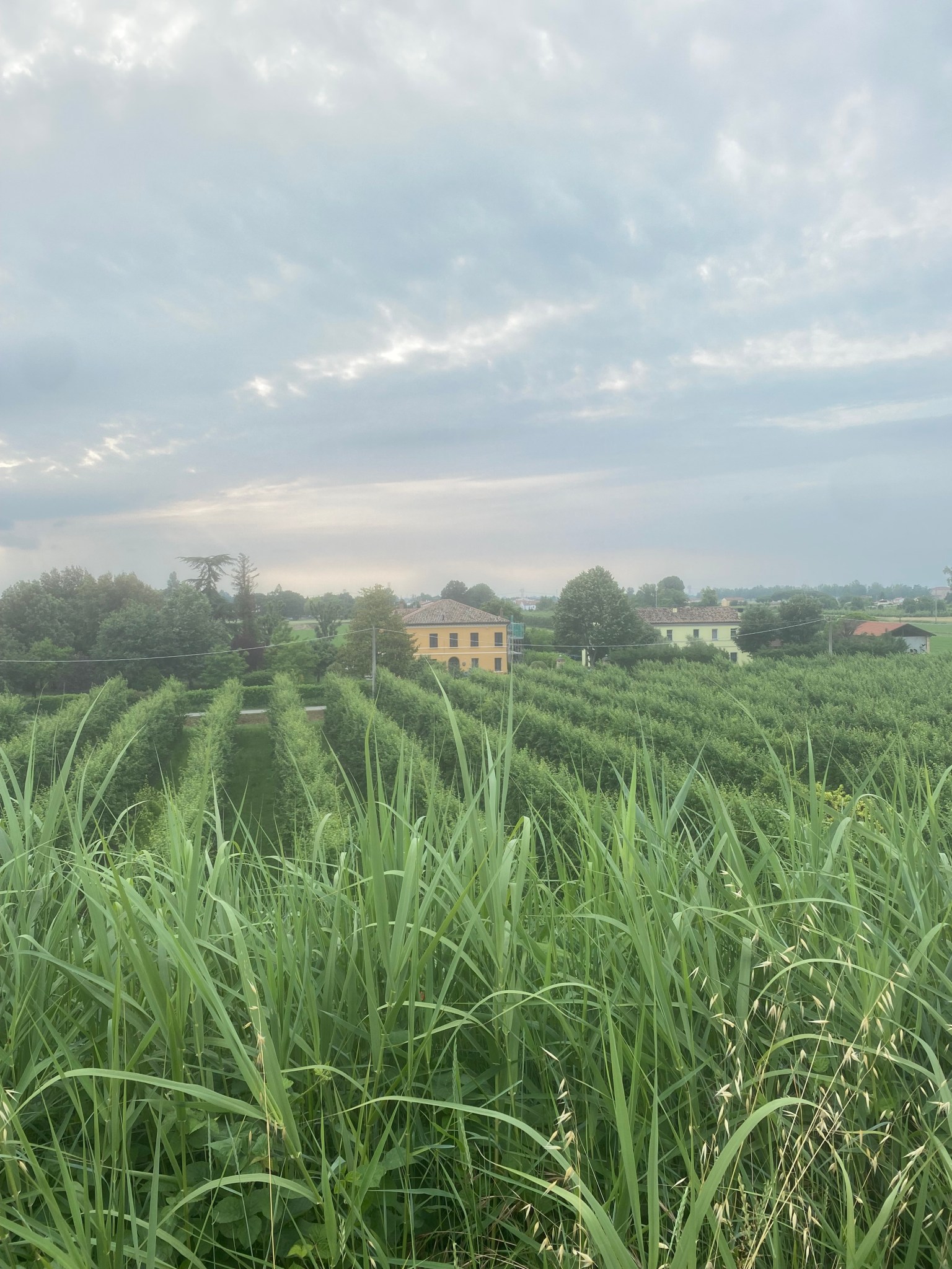 Rimini & Ravenna on the North-East Coast of Italy – Laur On Tour